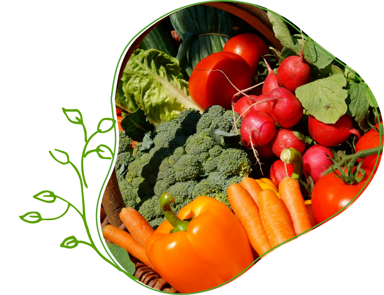 Produkte | GRÜN&GRÜN | Garten- und Landschaftspflege